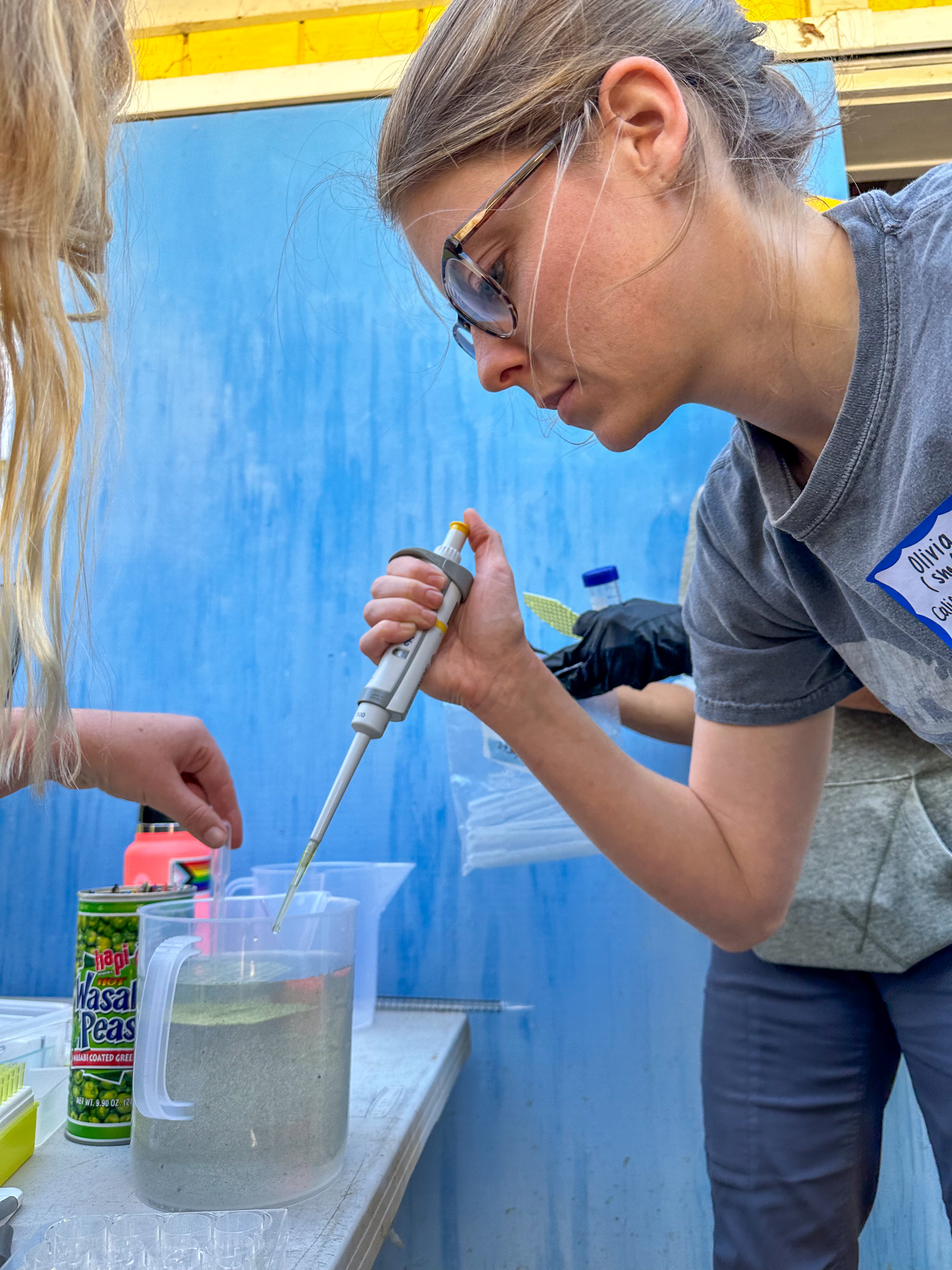 2023 White Abalone Spawning and Culture Workshop – White Abalone ...